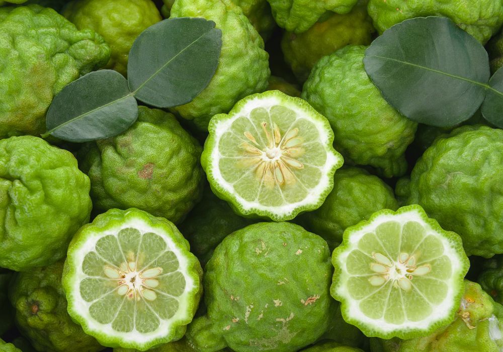 Bergamot: The Aromatic Citrus and Its Multifaceted Uses | Mezator